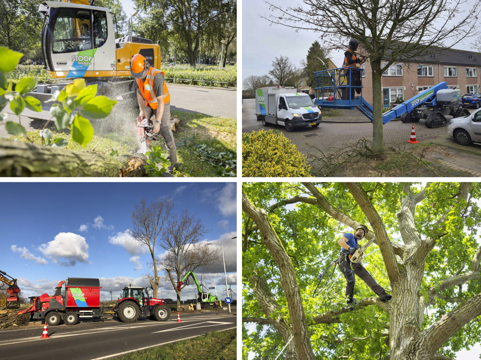 Gezocht: boomverzorger / European TreeWorker - Stoop Groenvoorziening